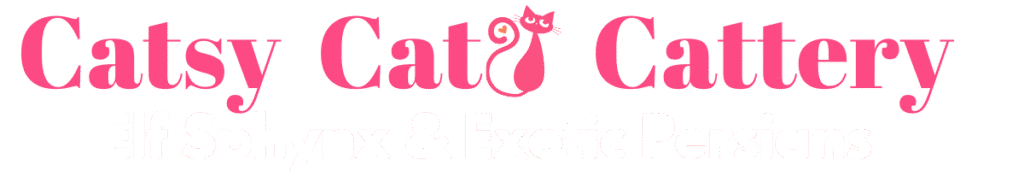 Persian Cats with Blue Eyes: Truth Behind the Myth & Their Stunning ...